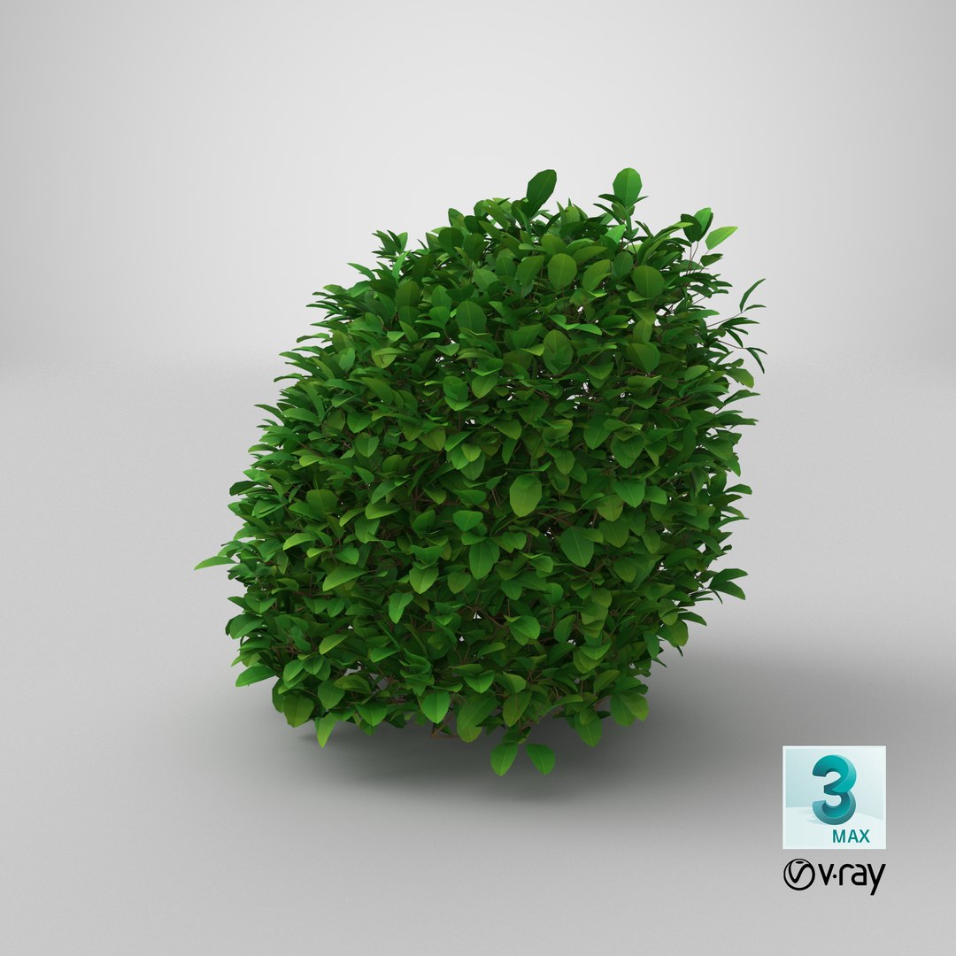 Cartoon Bush 17 Model - TurboSquid 1941443