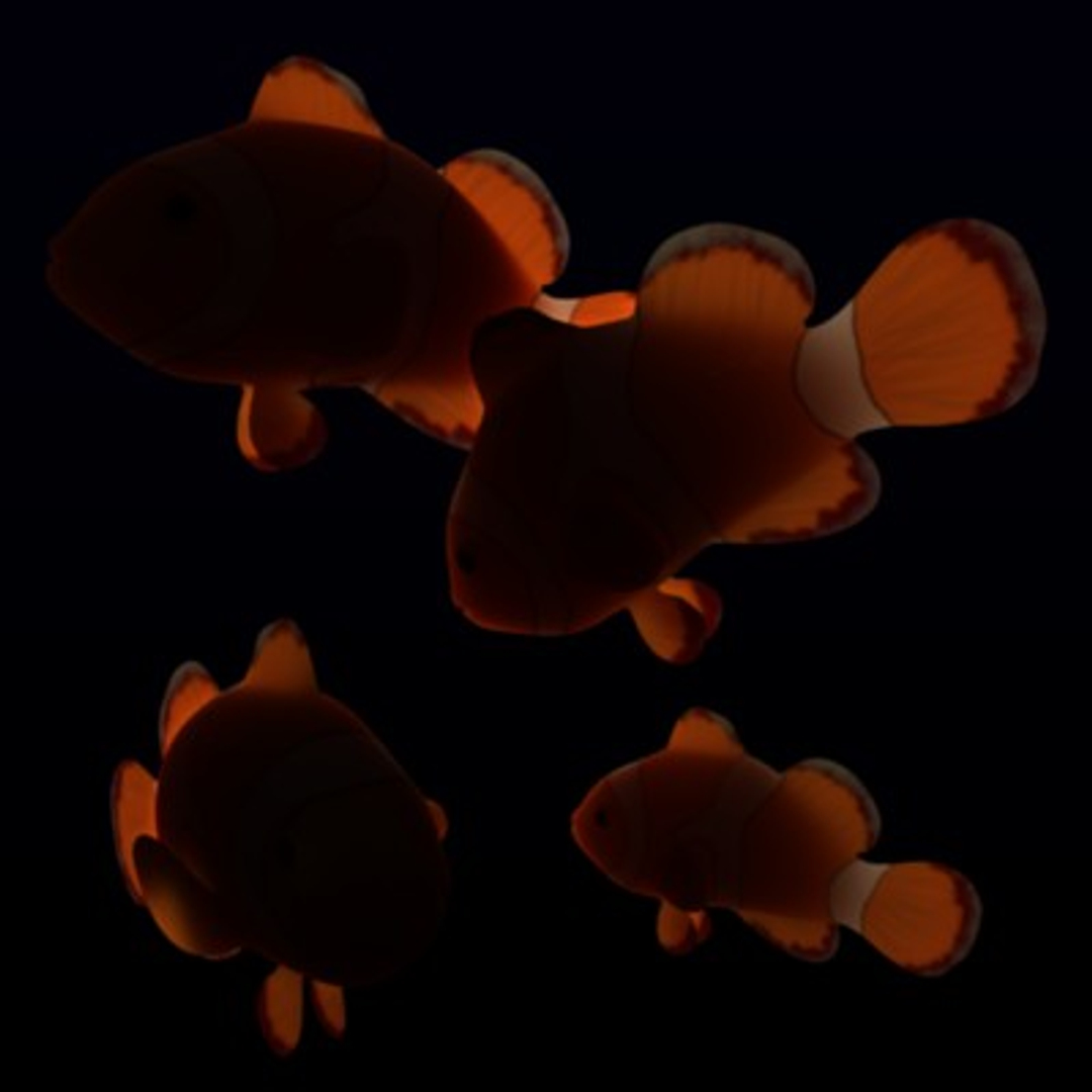 3d anemone fish anemonefish