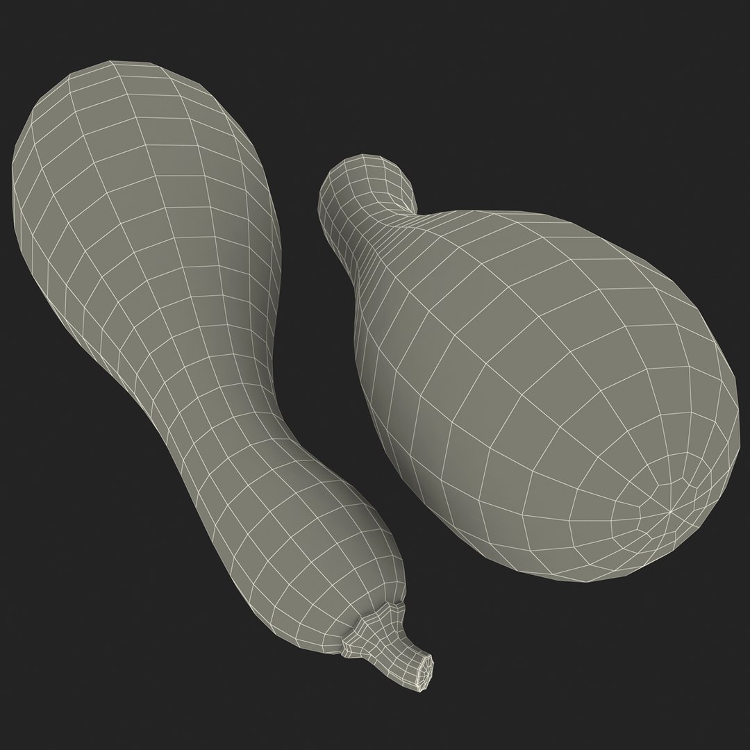 squash 3d model