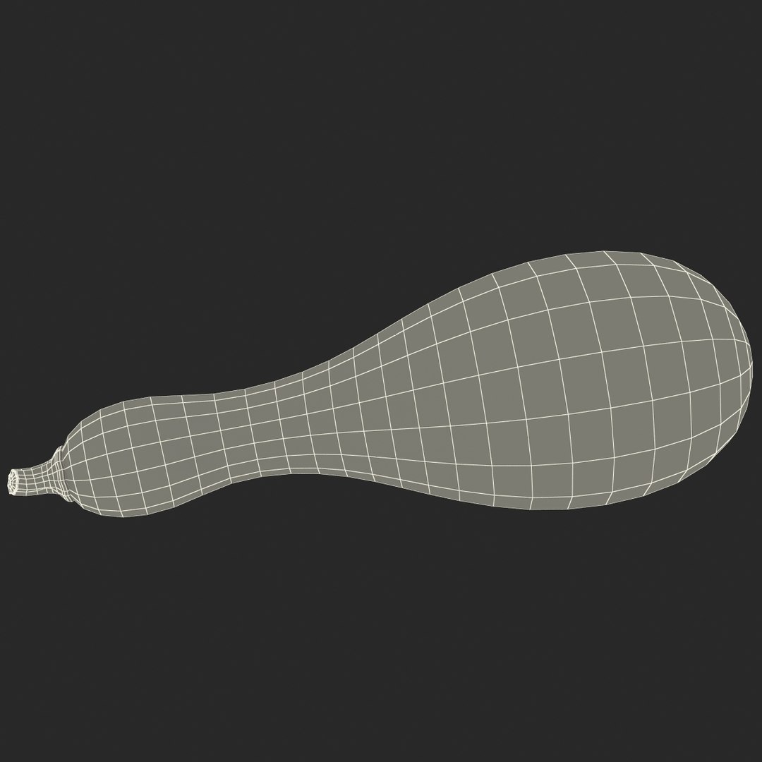 squash 3d model