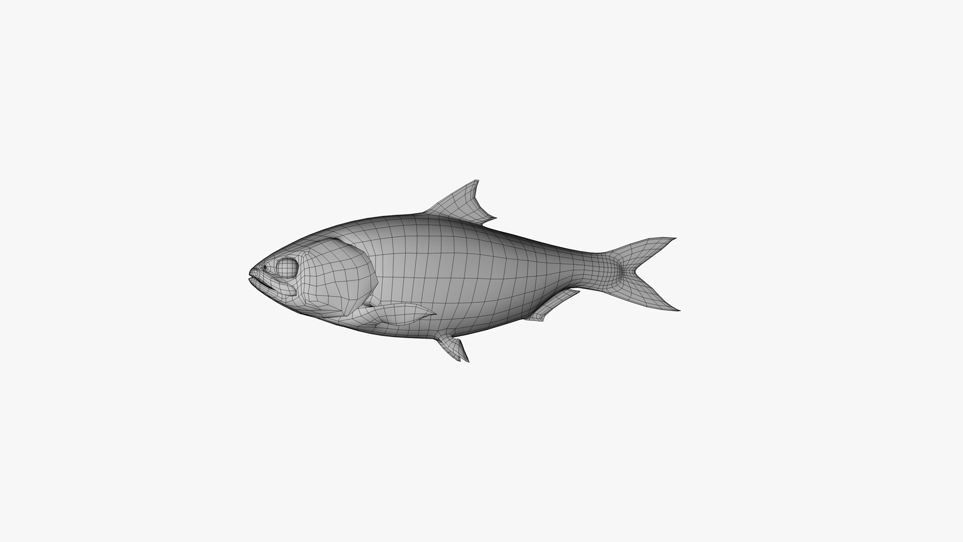 3D Ilish Male And Female Set - TurboSquid 2338482