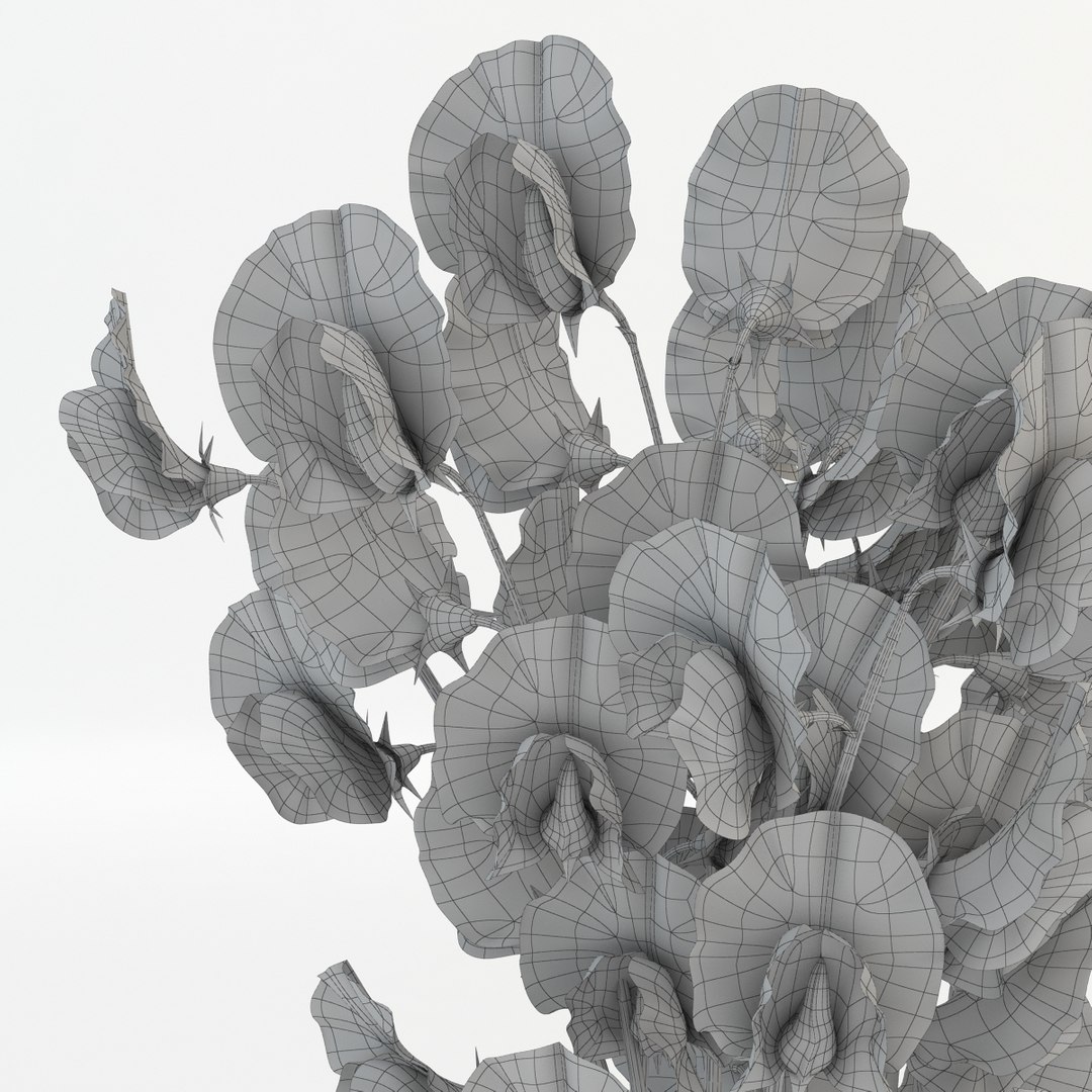 Sweet Peas Vase Red 3d Model