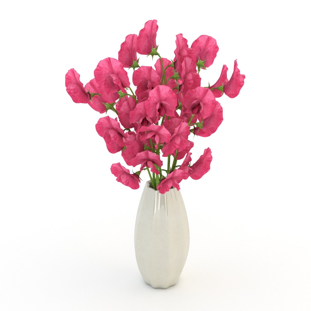 Sweet Peas Vase Red 3d Model