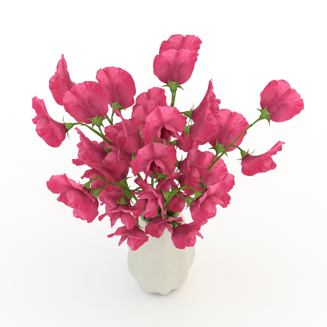 Sweet Peas Vase Red 3d Model