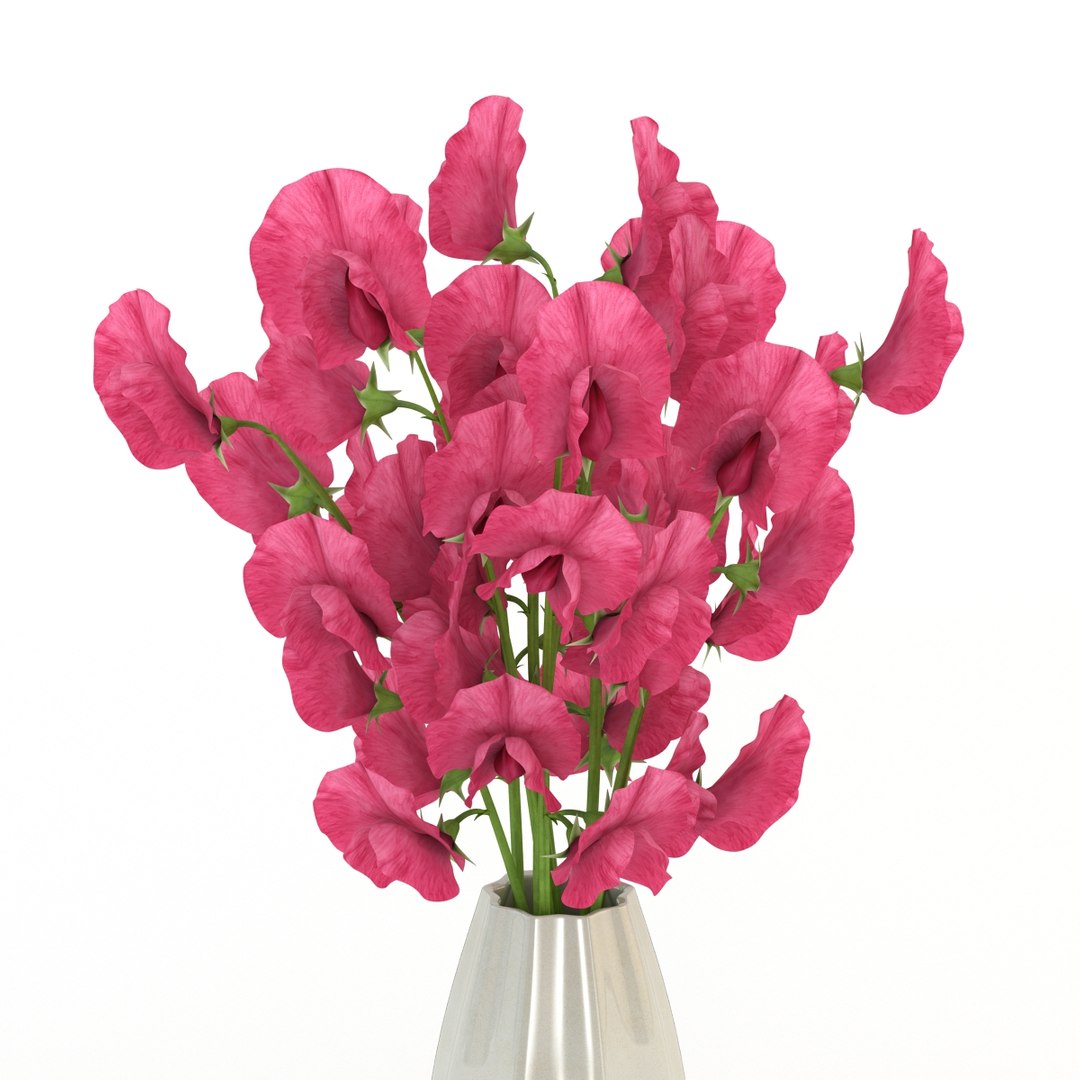 Sweet Peas Vase Red 3d Model