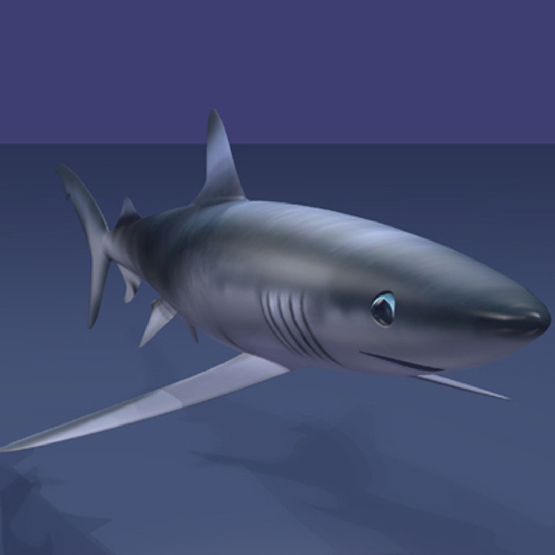 3ds max blue shark