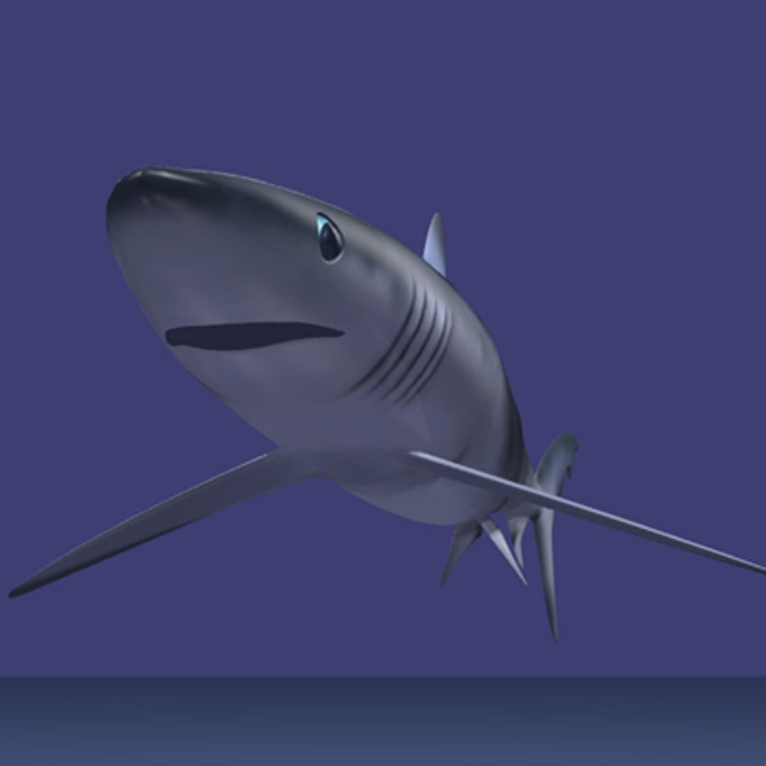3ds max blue shark