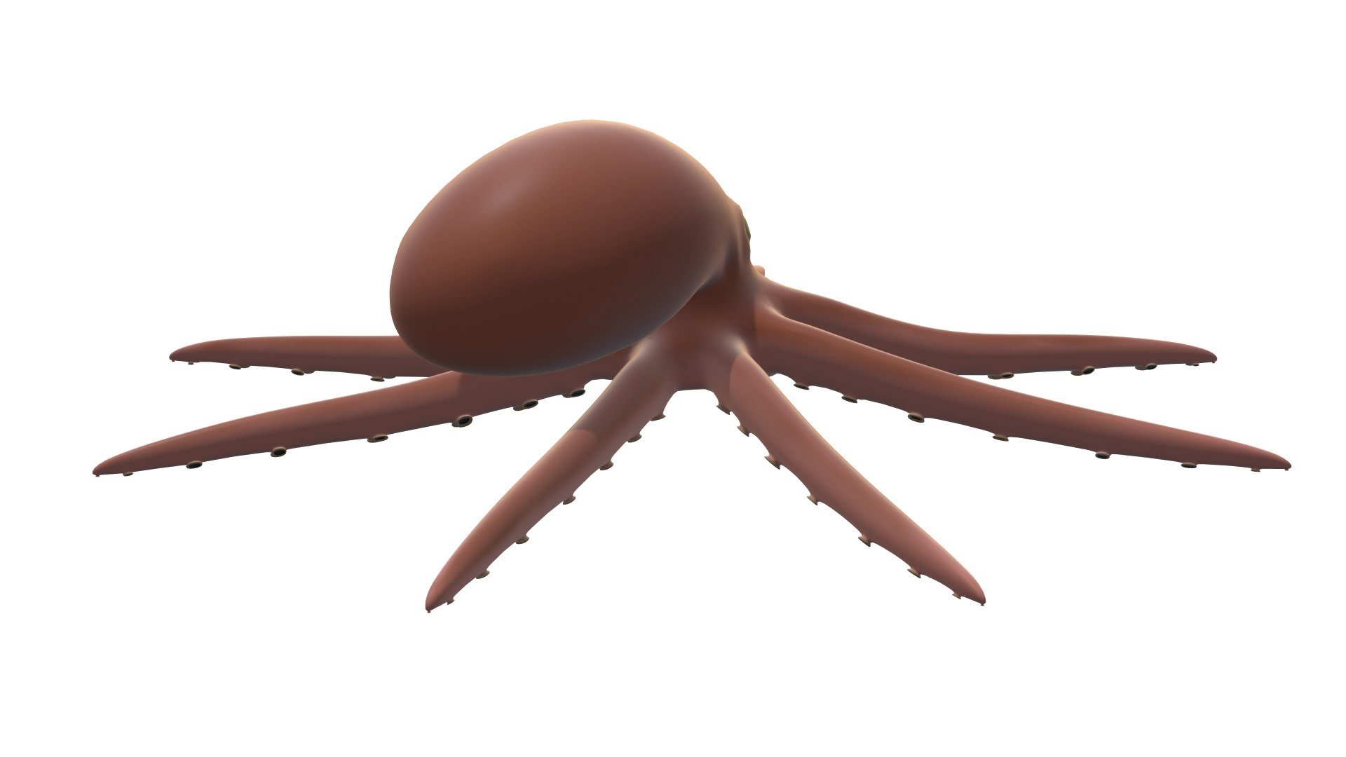 3D East Pacific Red Octopus 3D Model Model - TurboSquid 2311838