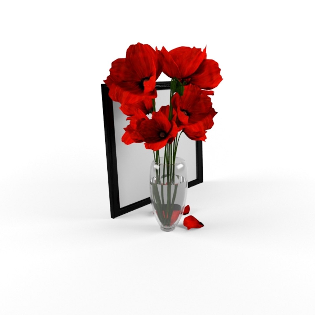 3d Model Poppy