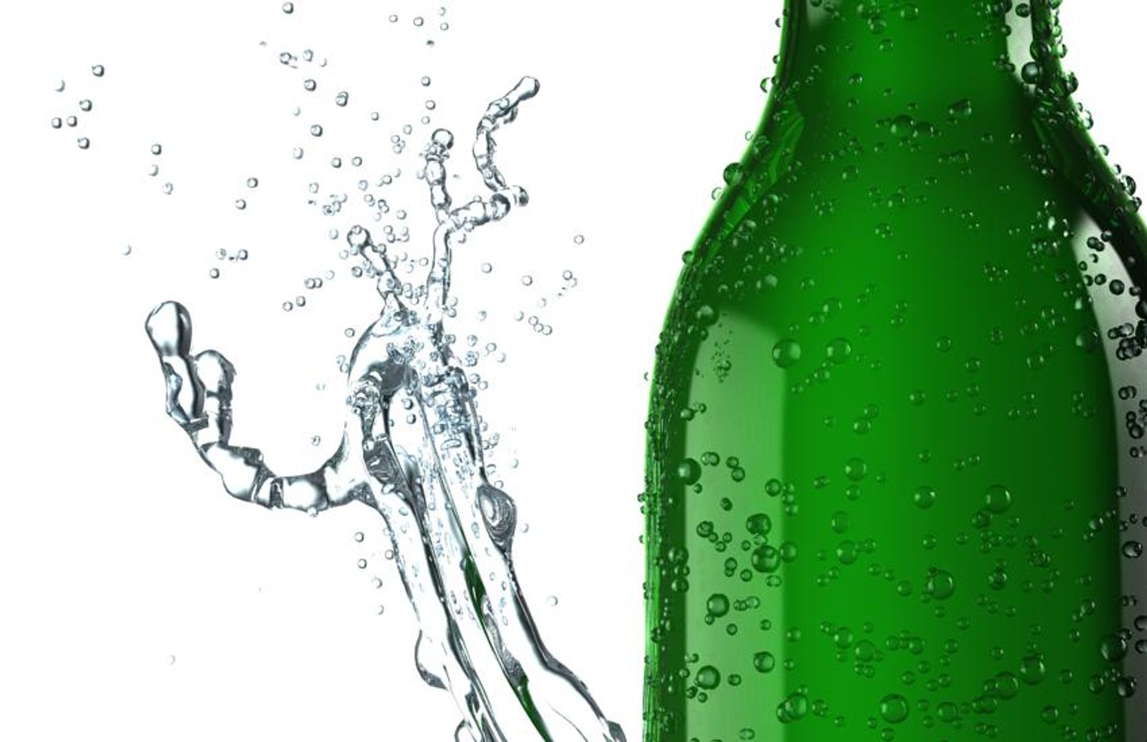 Beer Bottle Splash 3d Model