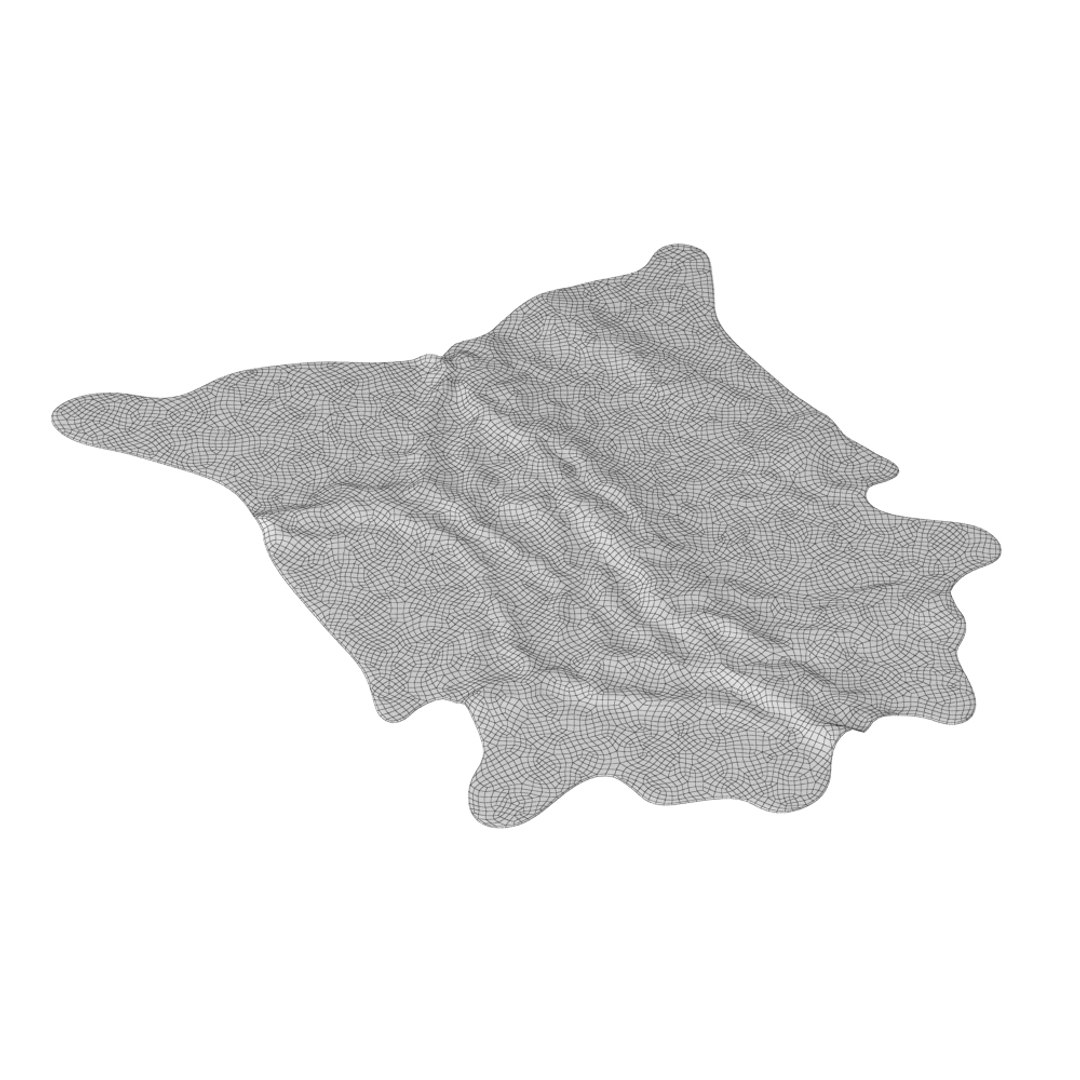 Animal Skin Rug 11 3D - TurboSquid 1781903