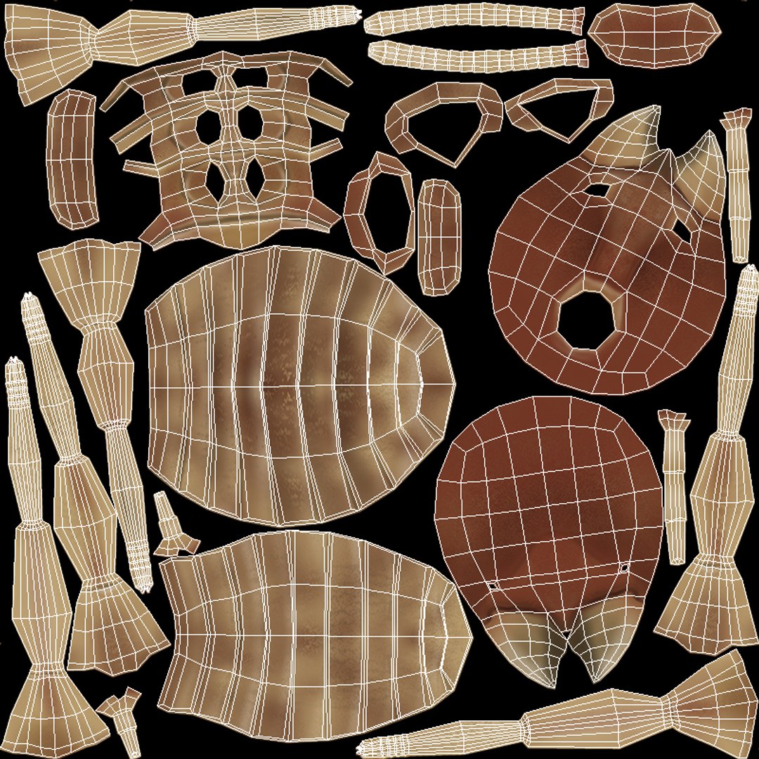 TermiteWorker 3D Model - TurboSquid 1853688