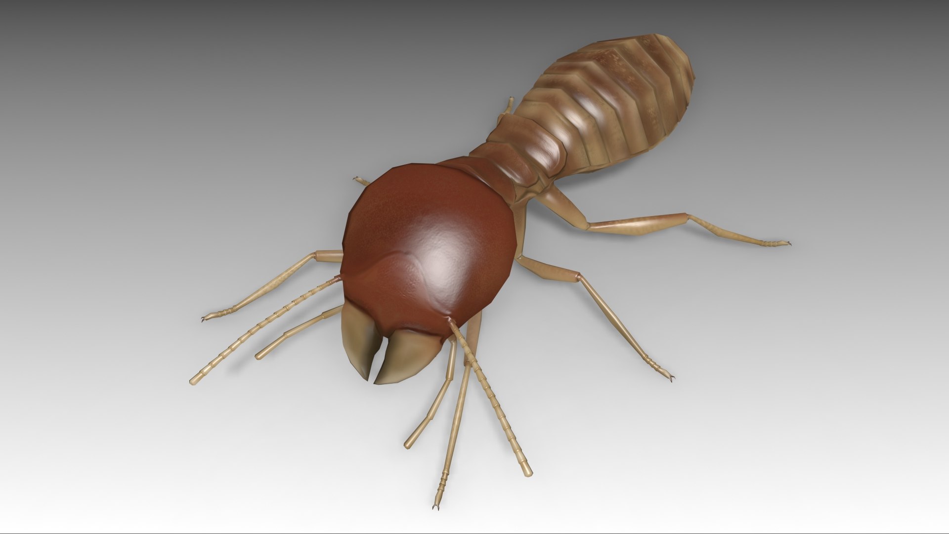 TermiteWorker 3D Model - TurboSquid 1853688