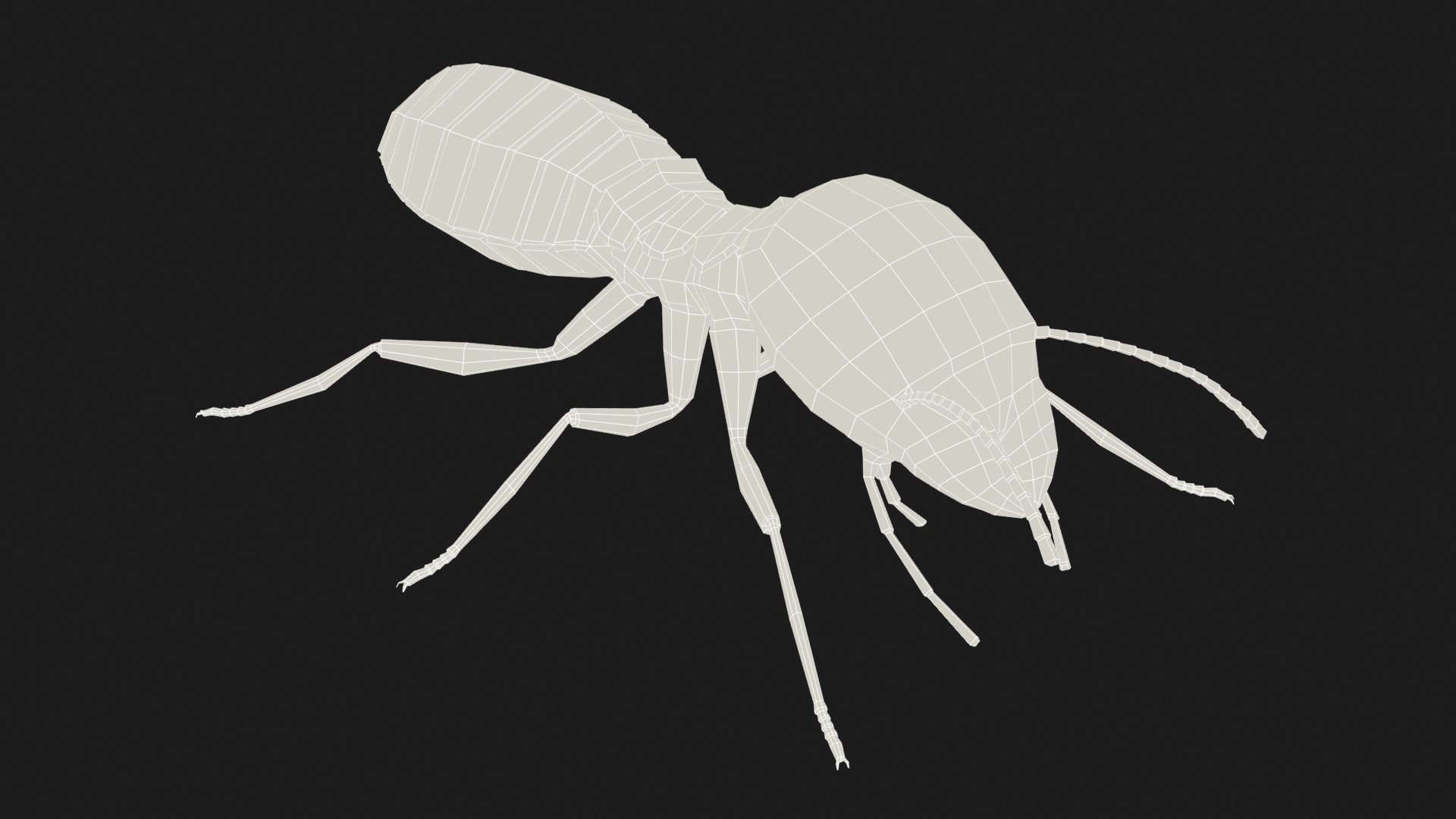 TermiteWorker 3D Model - TurboSquid 1853688