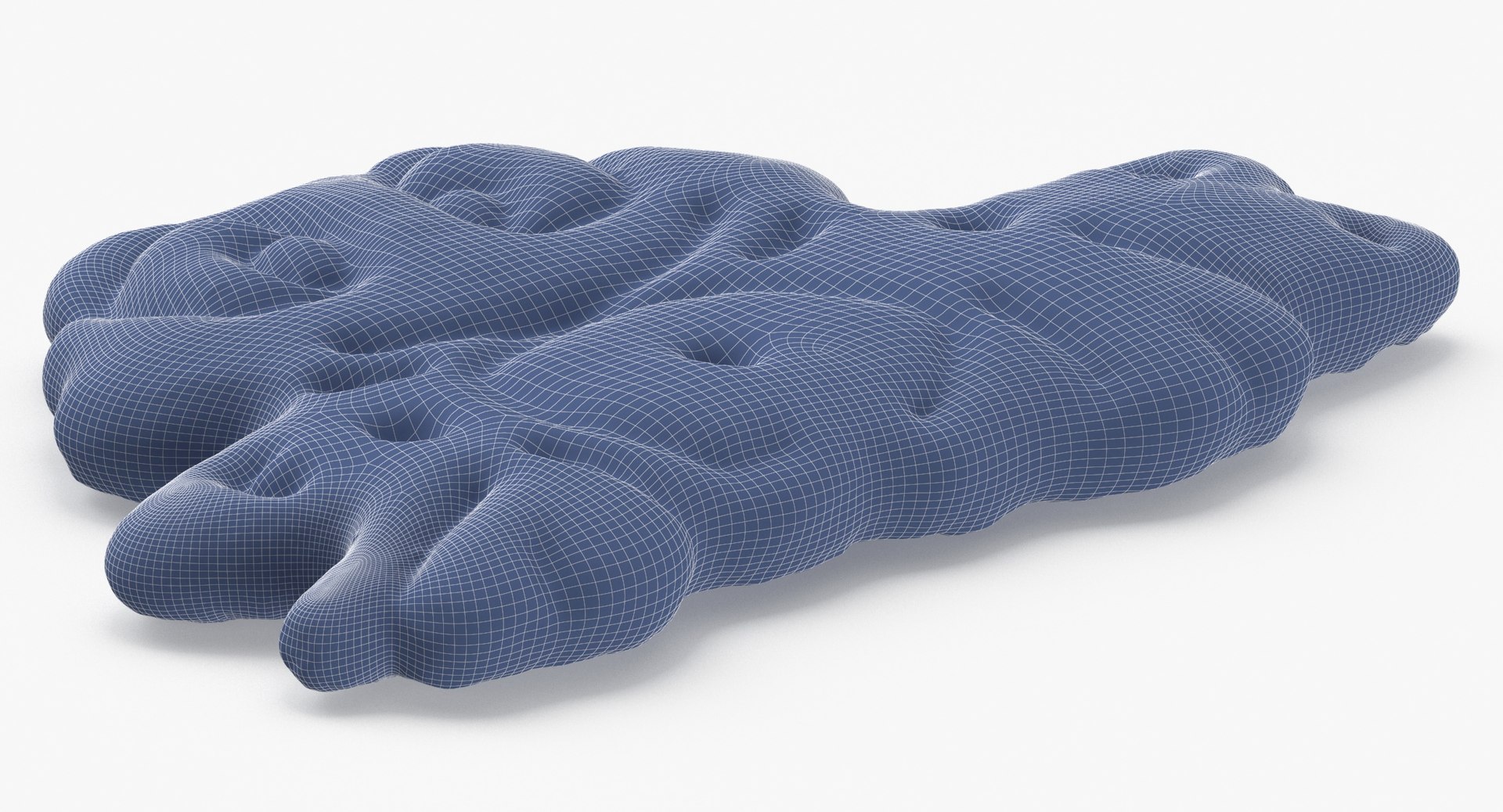 Cocoa Frog Cookie 01 3D - TurboSquid 1978955