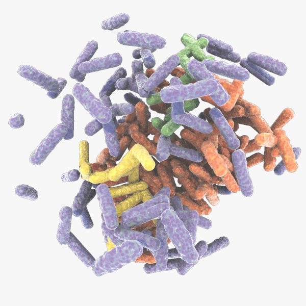 3d mycobacterium pathogens tuberculosis