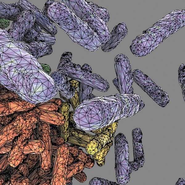 3d mycobacterium pathogens tuberculosis
