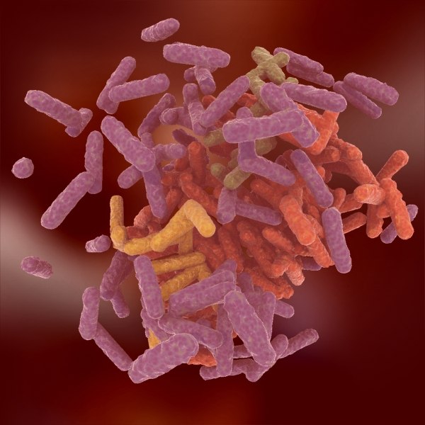 3d mycobacterium pathogens tuberculosis