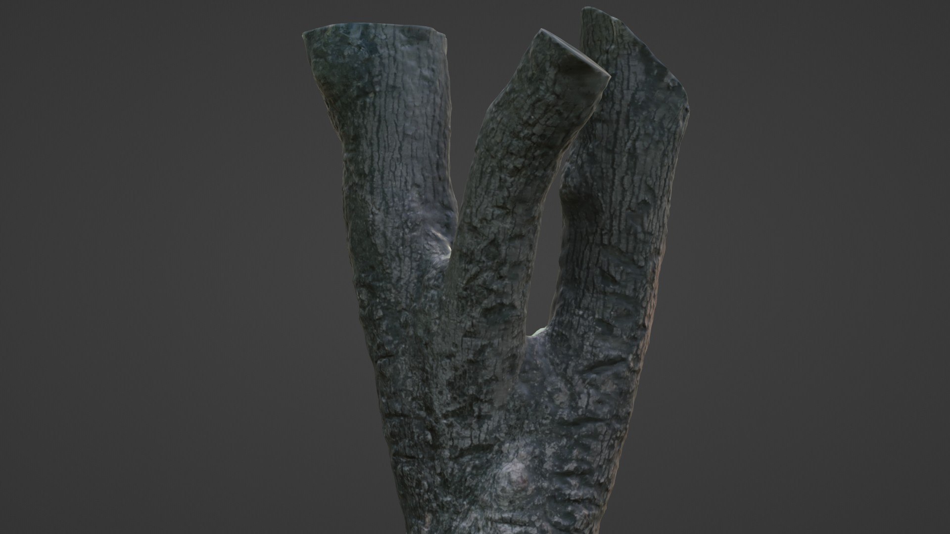 Tree 3D Model - TurboSquid 2329684