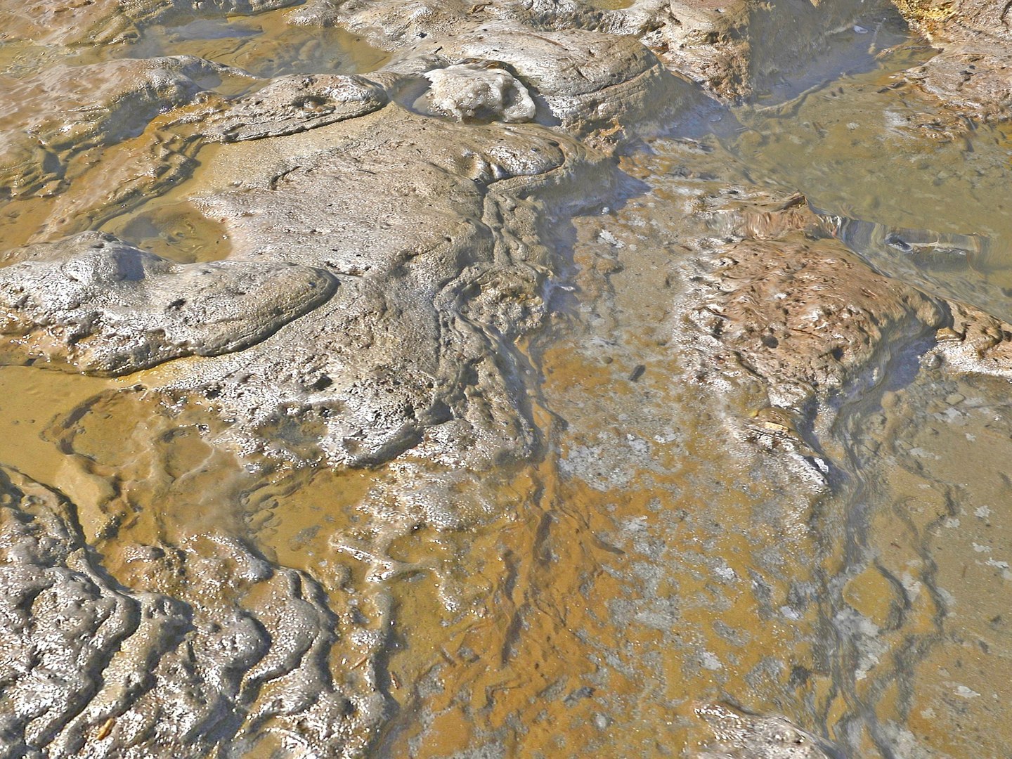 3D Model Dead Sea Ultra Hd - TurboSquid 1378124