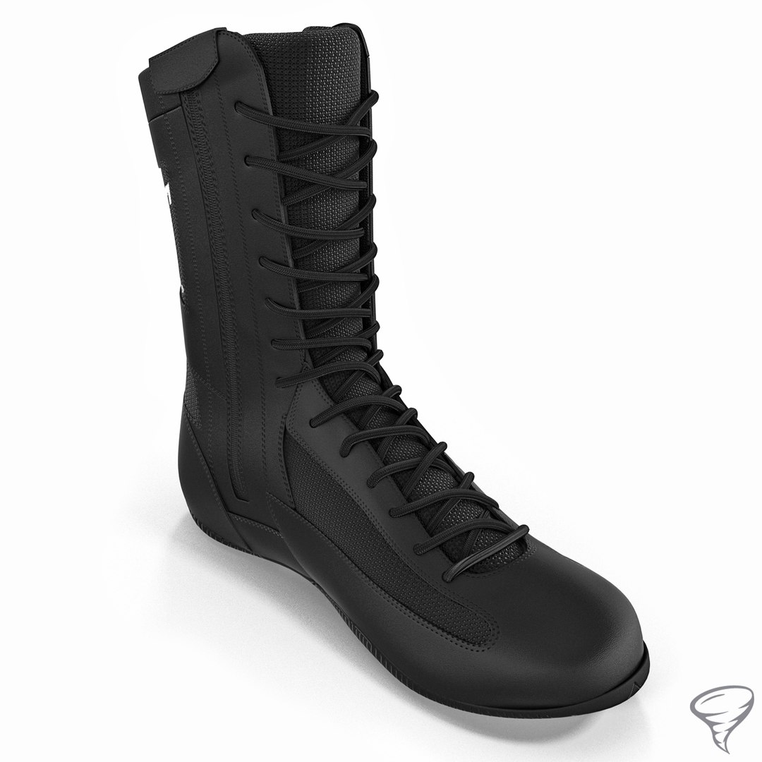 3d Model Everlast Boxing Shoes