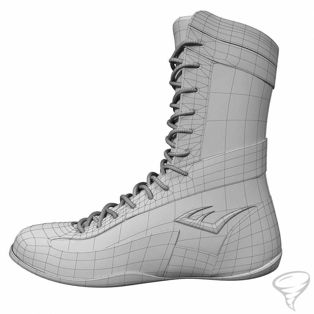 3d Model Everlast Boxing Shoes