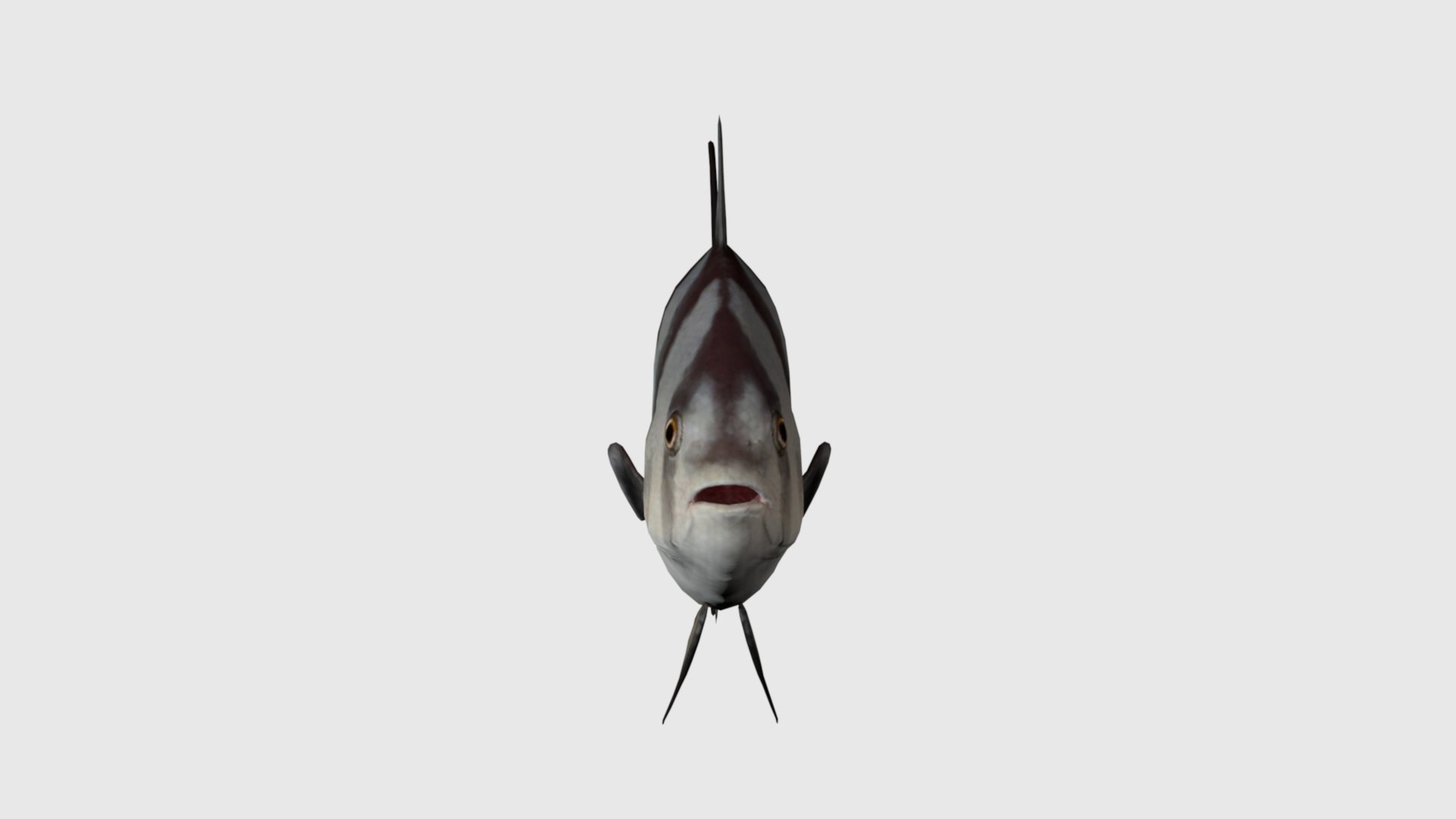 Atlantic Spade Rigged And Animated 3D - TurboSquid 2335498