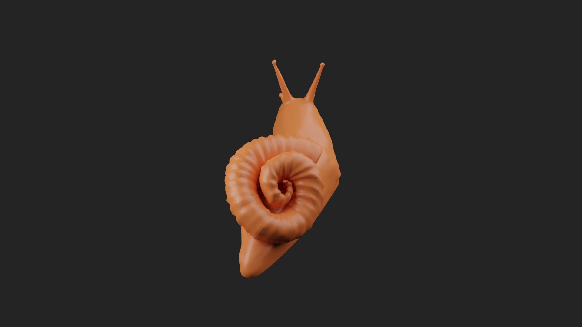 Snail Sculpt 3D Model - TurboSquid 2046530