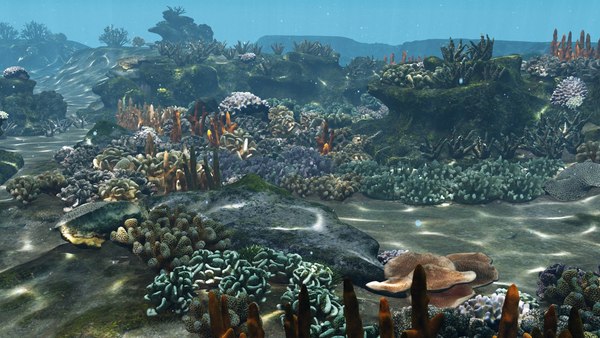 3D coral reef ecosystem - TurboSquid 1365877