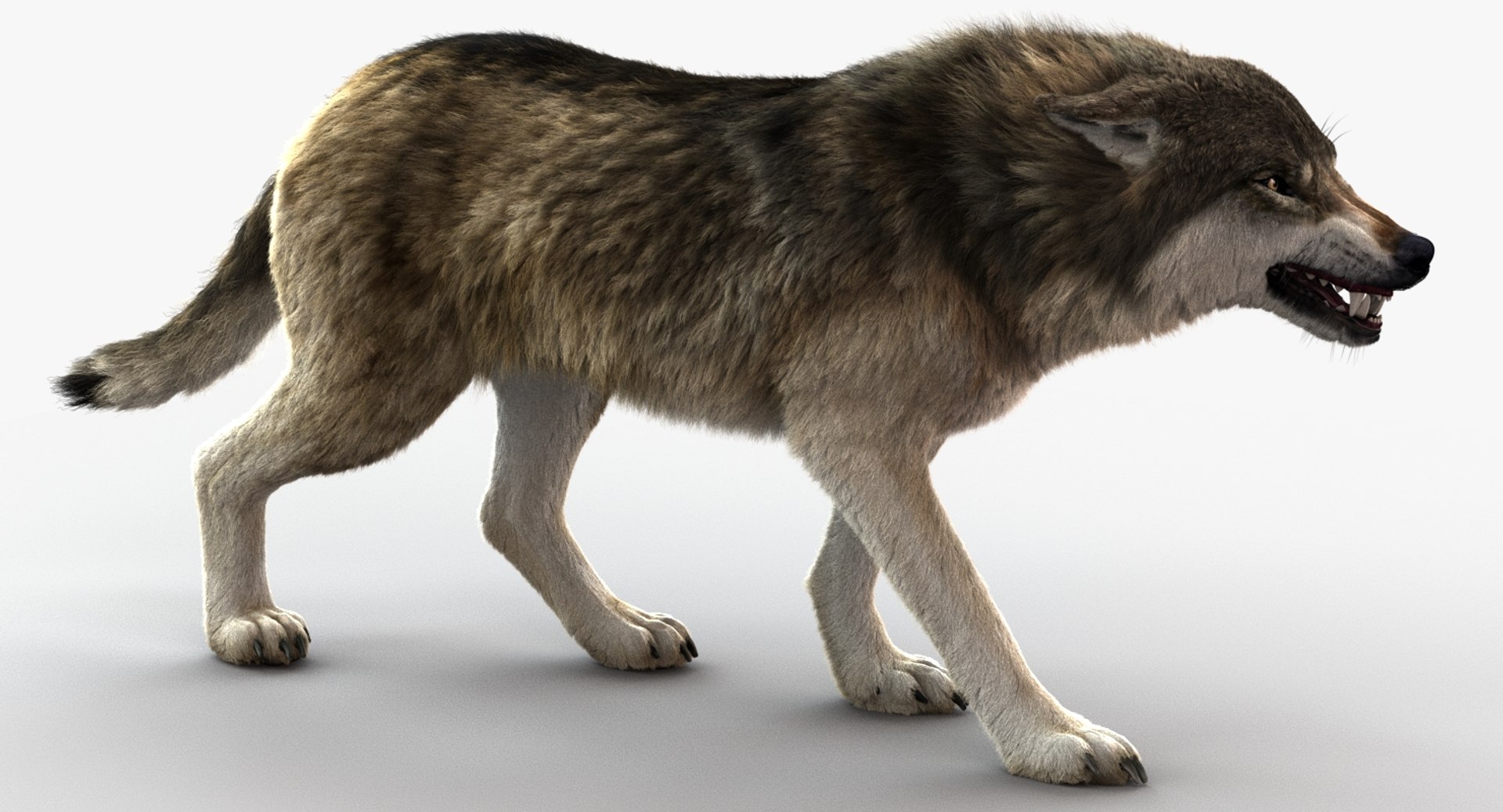 Wolf rigged fur 3 model - TurboSquid 1306654