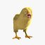 Chick Animation 3d Model