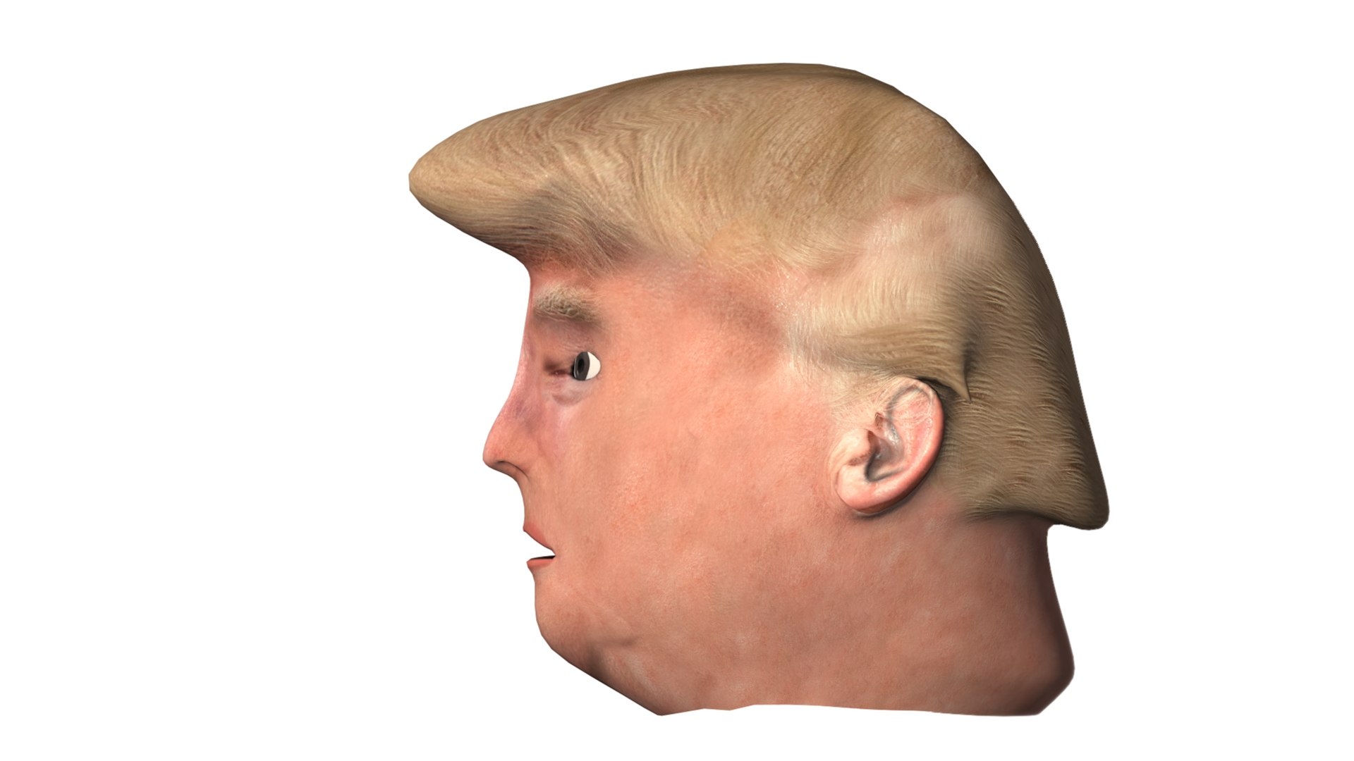 President Donald J Trump 3d Model