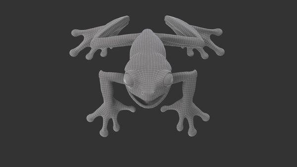 3D Red-Eyed Tree Frog - TurboSquid 2009071