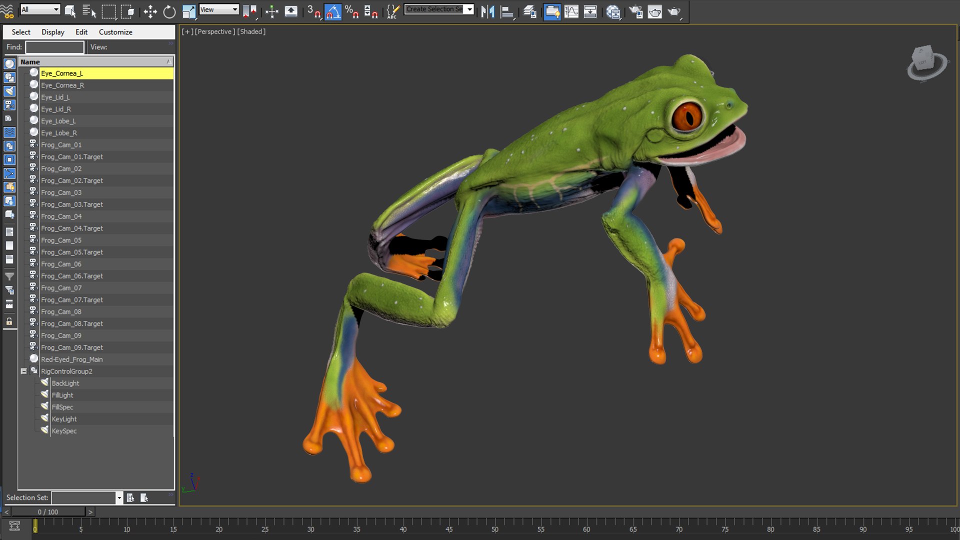3D Red-Eyed Tree Frog - TurboSquid 2009071