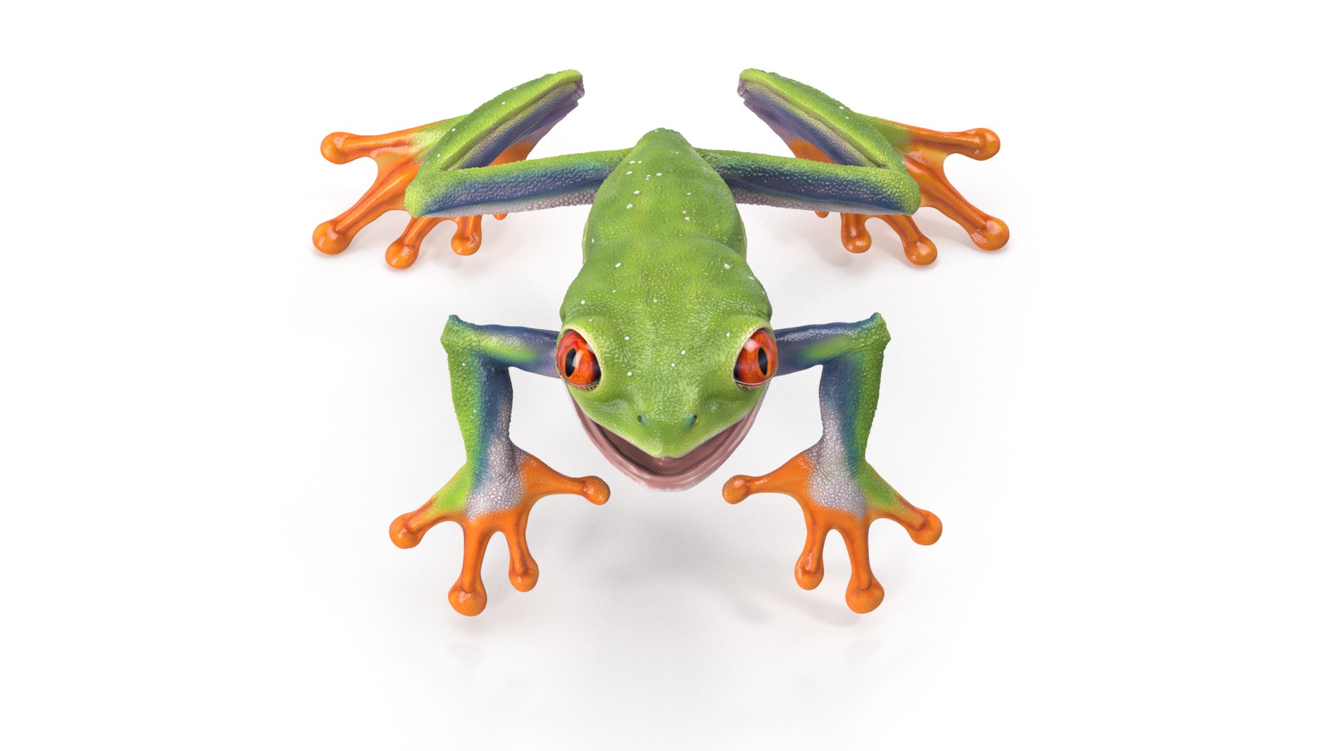 3D Red-Eyed Tree Frog - TurboSquid 2009071