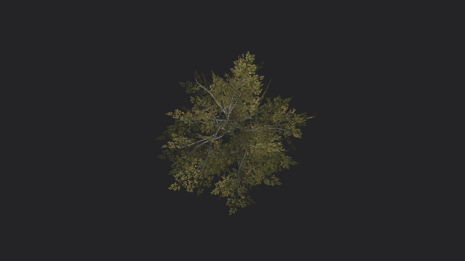 3D Tree 3D Model 035 - TurboSquid 2246580