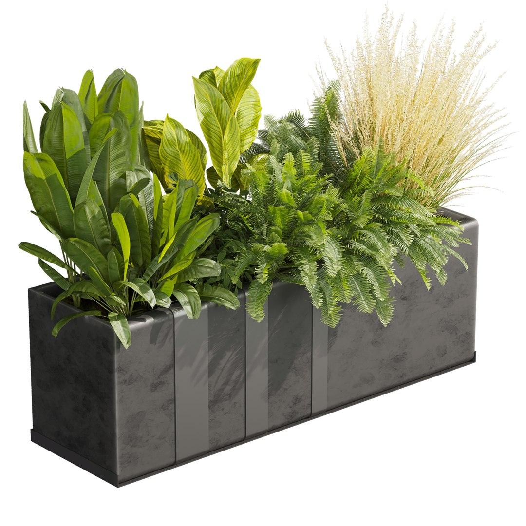 3D Plant Vol 829 - Pothos - Palm - Grass - TurboSquid 2518243