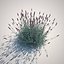 3d Model Ground Cover 9