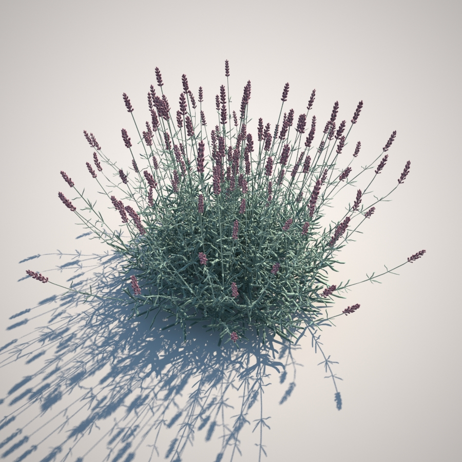 3d model ground cover 9