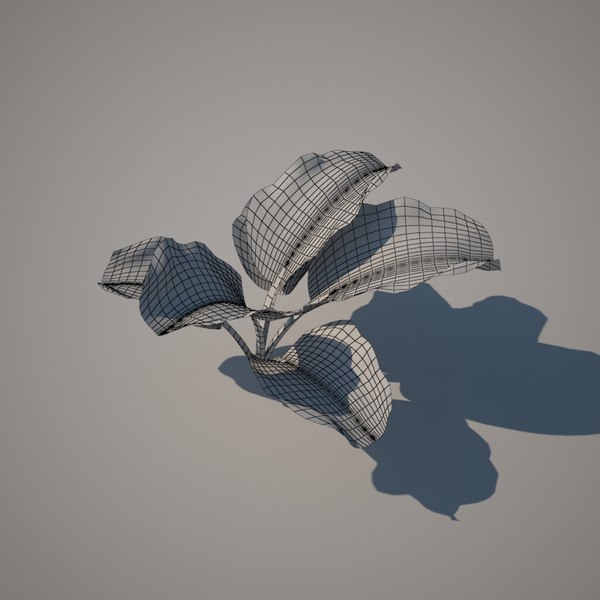 3d model ground cover 9