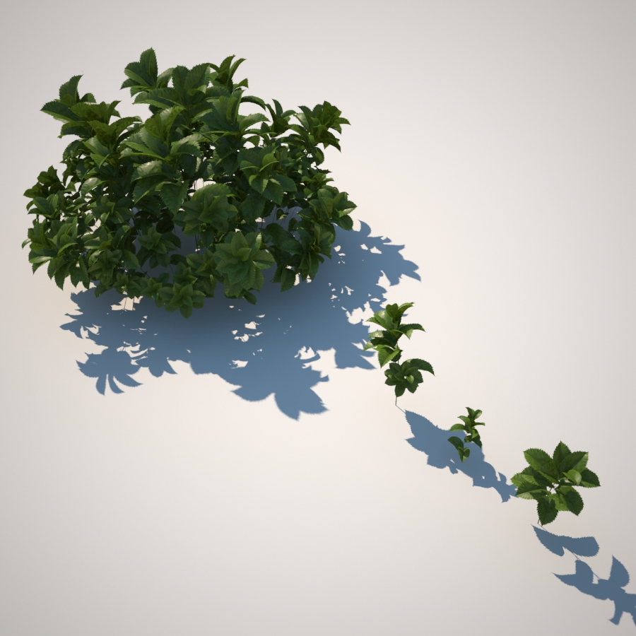3d model ground cover 9