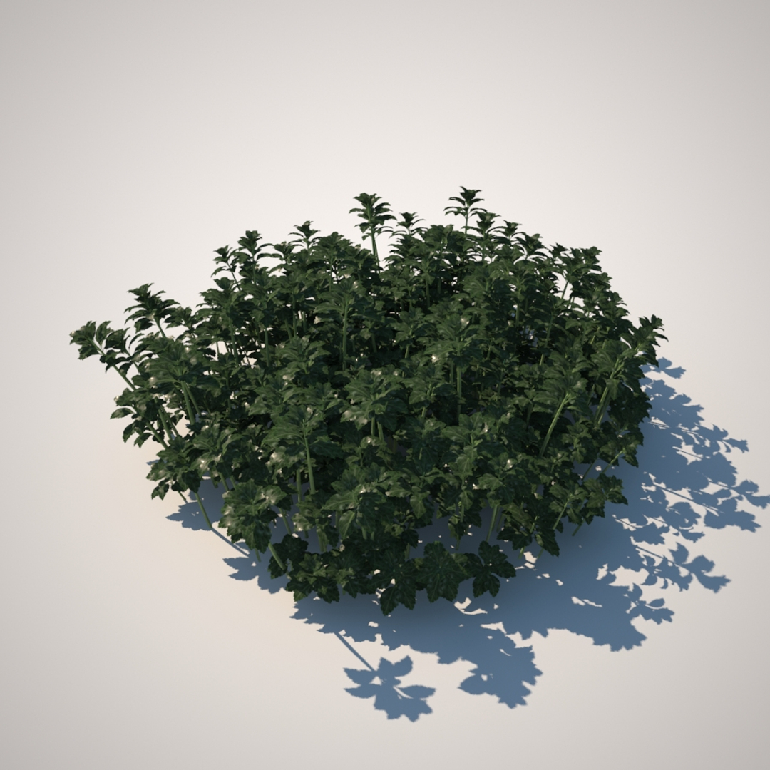 3d model ground cover 9