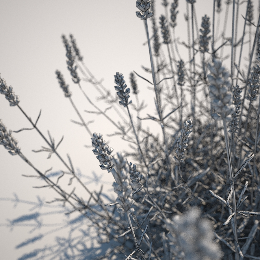 3d model ground cover 9