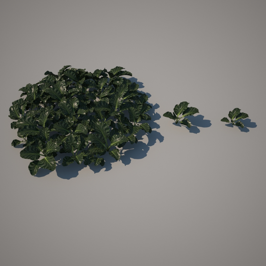 3d model ground cover 9