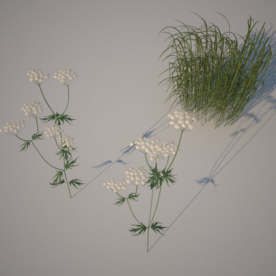 3d model ground cover 9
