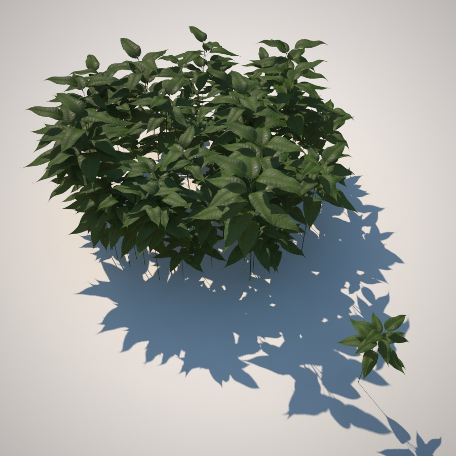 3d model ground cover 9