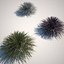3d Model Ground Cover 9