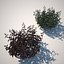 3d Model Ground Cover 9