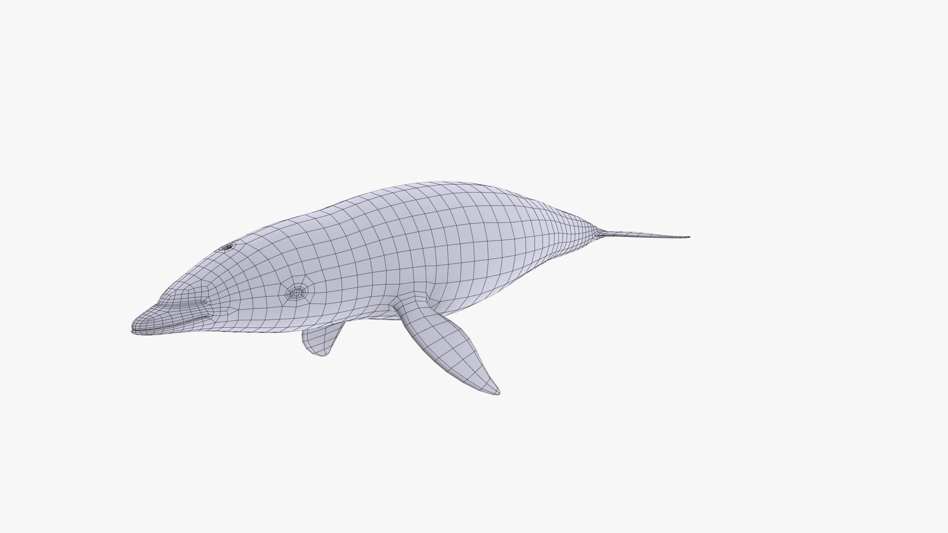Dolphin Liso 3D Model - TurboSquid 1463025