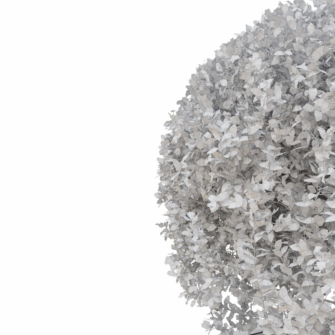 Buxus Bush Ball 3D - TurboSquid 1325449